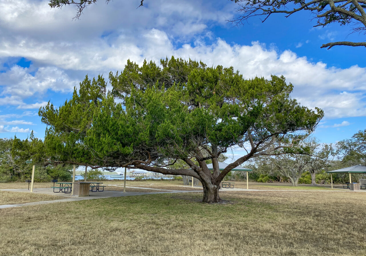 The Future of Landscape Architecture – Designing for Resilience & Community - Matthews | DCCM