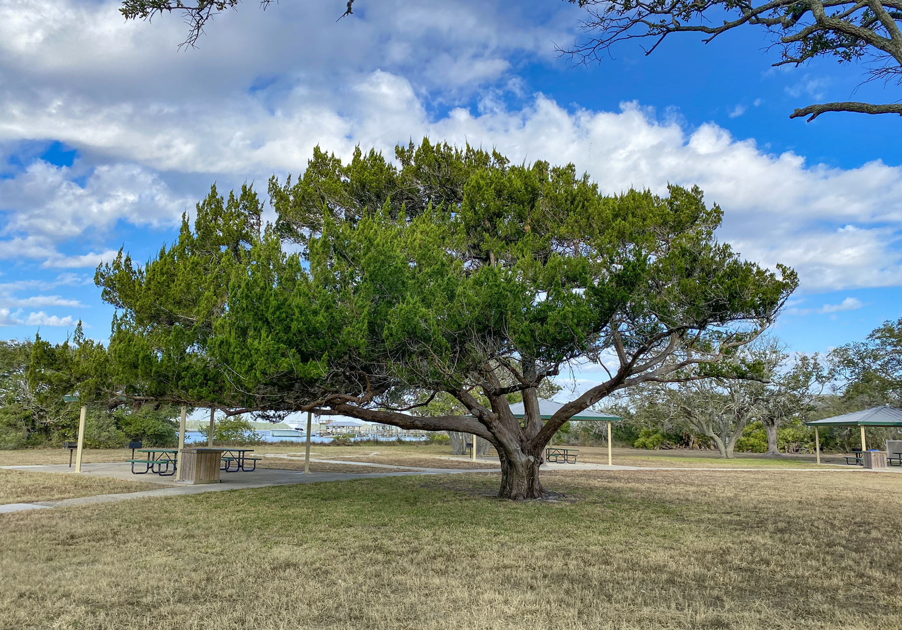 The Future of Landscape Architecture – Designing for Resilience ...